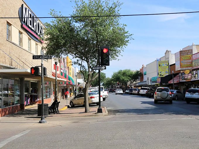Downtown McAllen's tree-lined streets offer that perfect blend of small-town charm and urban convenience. The kind of place where errands become adventures.