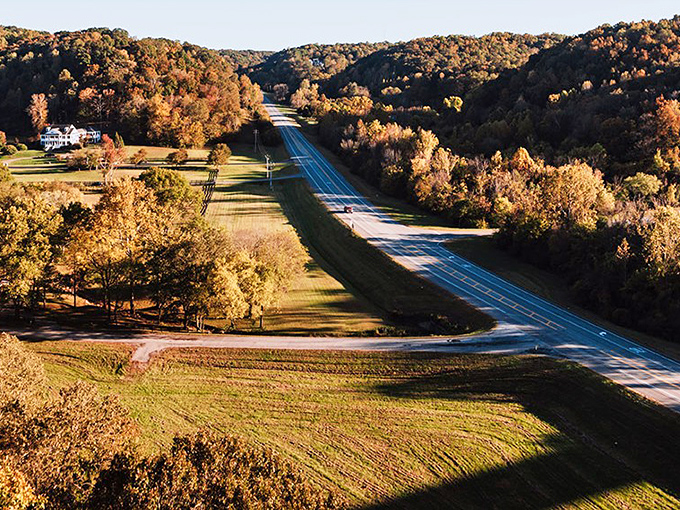 Nature's perfect canvas unfolds along the Natchez Trace in autumn, where every curve reveals another postcard-worthy vista waiting to be discovered.