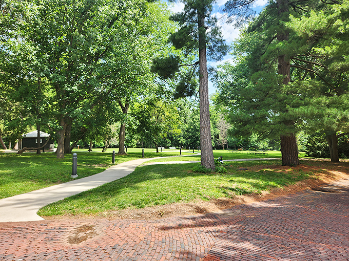 Tree-lined pathways invite you to slow down and breathe. Nature's version of a stress detox, minus the expensive juice cleanse.
