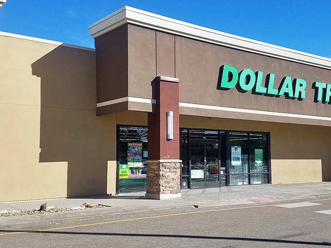 The beige facade might not scream "retail adventure," but that green Dollar Tree sign promises a treasure hunt where your wallet actually wins.