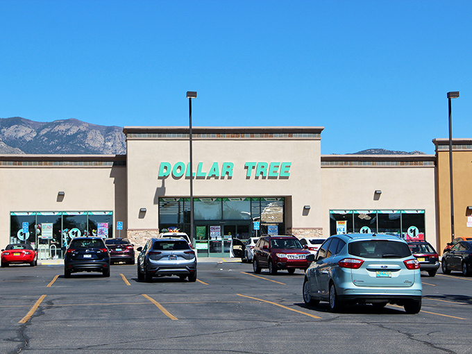 The iconic green signage against New Mexico's brilliant blue sky&mdash;a beacon of budget-friendly possibilities in Albuquerque's retail landscape.