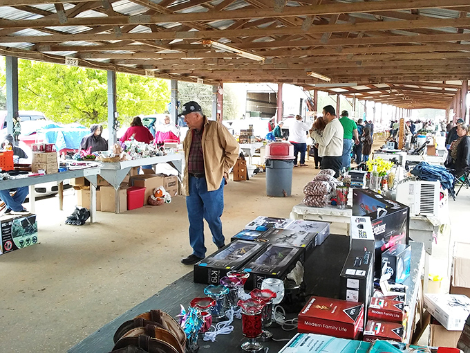 Under the sprawling pavilion, treasure hunters scan tables filled with everyday artifacts and extraordinary finds. The thrill of discovery hangs in the air like the promise of a perfect bargain.