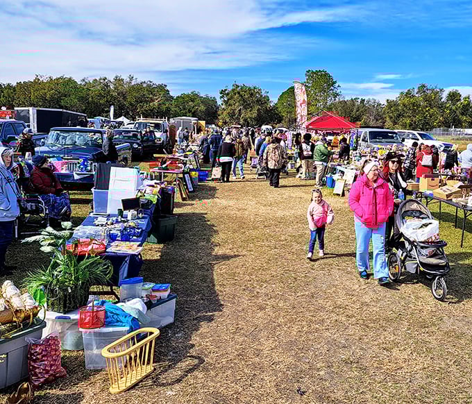 The weekend marketplace comes alive as shoppers weave between stalls, each one a potential goldmine of unexpected finds. It's like an archaeological dig where everyone's invited.