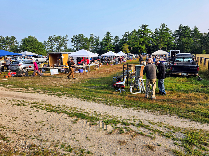Treasure hunters navigate the sprawling field at Davisville, where canopies create a patchwork marketplace against New Hampshire's towering pines.