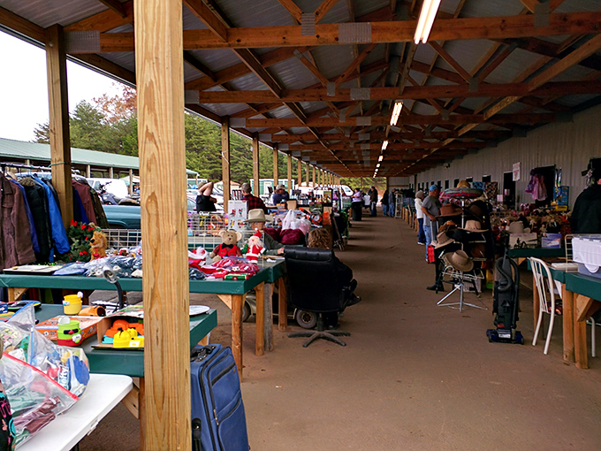 The treasure hunt begins! Under rustic wooden beams, a world of possibilities stretches before you, where yesterday's memories become tomorrow's discoveries.