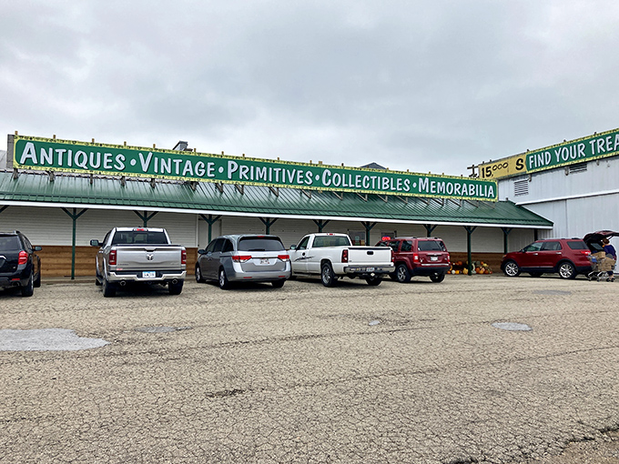 The green banner beckons like a siren song to treasure hunters. "Find Your Treasures Here!" isn't just marketing&mdash;it's a promise.