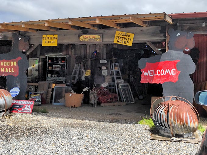 The entrance to treasure-hunting paradise. Rustic wooden beams, hanging ferns, and that hand-painted welcome sign promise adventures that your credit card won't regret.