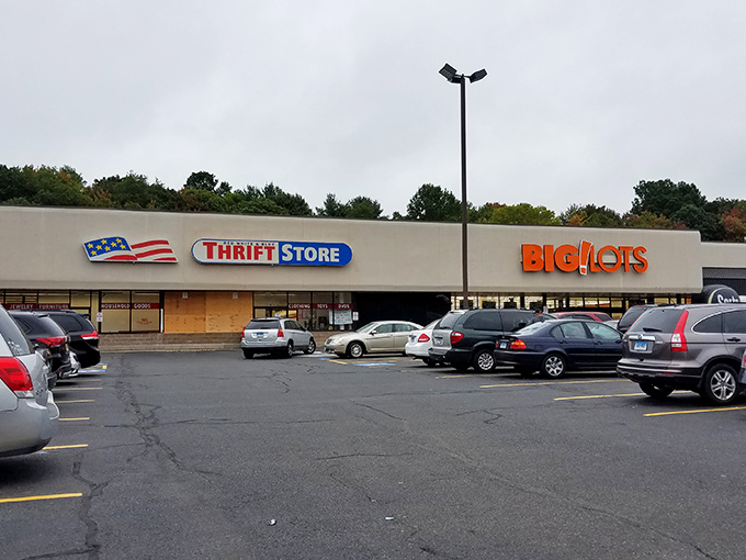 The patriotic facade of Red White & Blue Thrift Store stands proudly next to Big Lots, like America's bargain dream team in strip mall form.