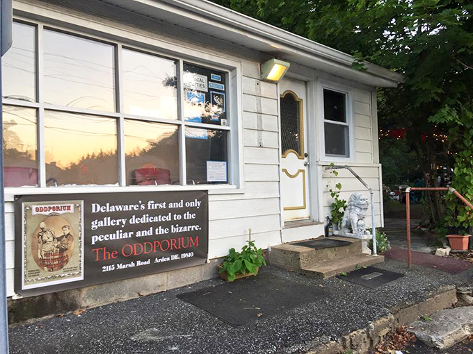 The unassuming exterior of the Oddporium belies the wonderfully weird world waiting inside. Delaware's cabinet of curiosities hides in plain sight.