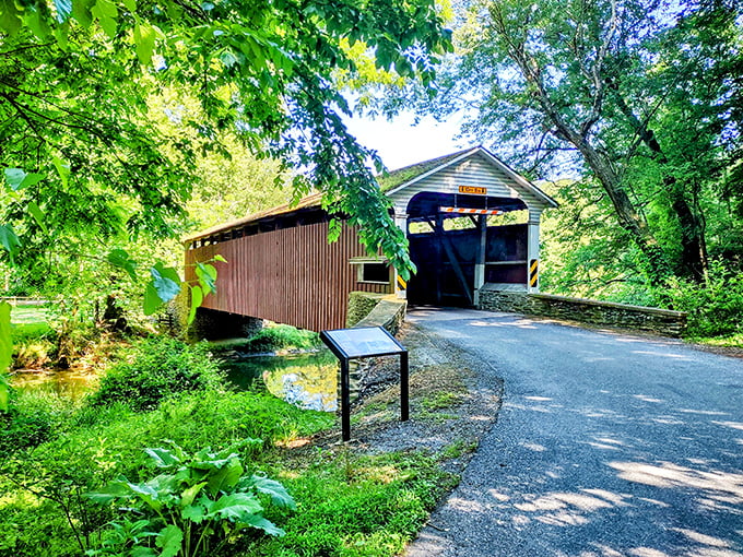 The classic red siding against lush greenery creates that perfect "I've stumbled upon something magical" moment at Mercer's Mill Covered Bridge.