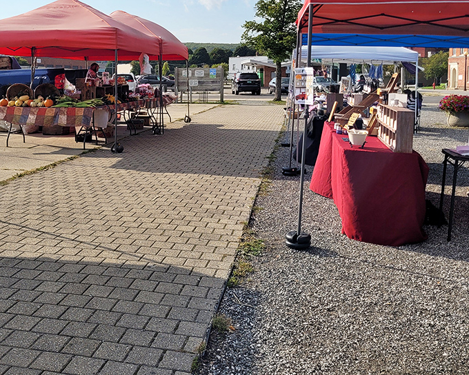 Colorful canopies dot Rutland's outdoor market, where Vermont's bounty awaits under red and blue tents on a perfect summer day.
