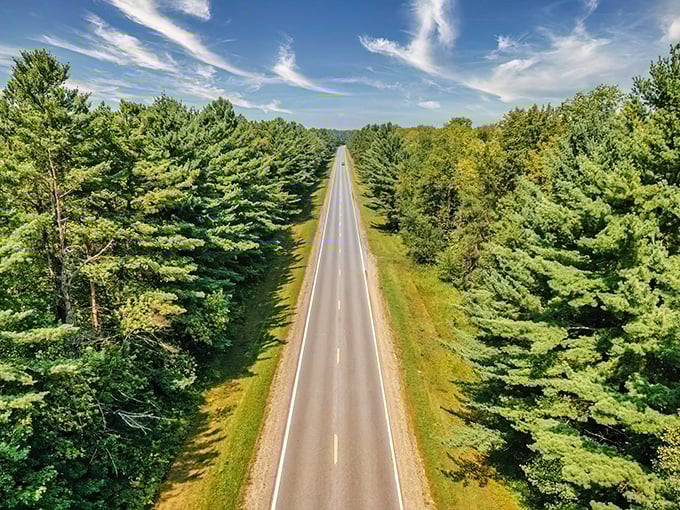 Nature's perfect corridor stretches to the horizon, where towering pines stand like sentinels guarding Minnesota's most mesmerizing highway. This is road trip therapy at its finest.