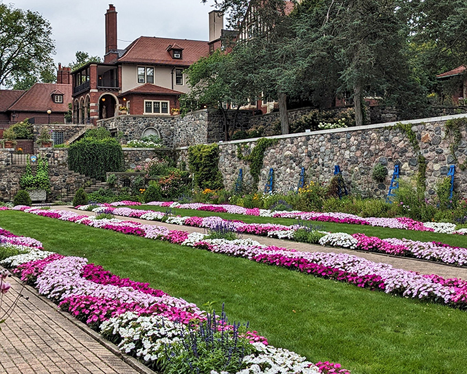 The grand Tudor-style mansion rises above meticulously designed flower beds, where pink and white blooms create a living tapestry against ancient stone walls.