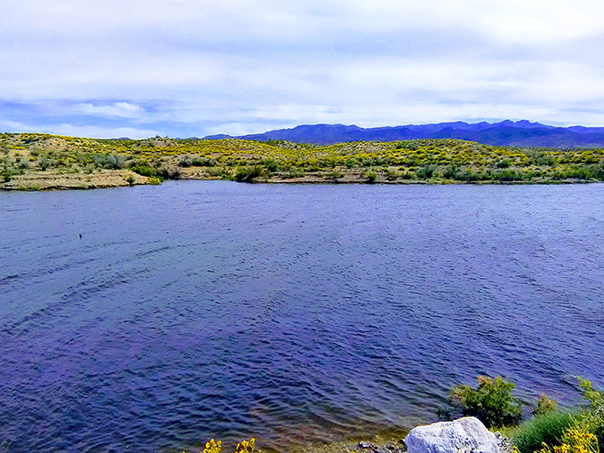Where desert meets water in a surreal landscape that makes you question if you've stumbled onto a movie set or just Arizona's best-kept secret.