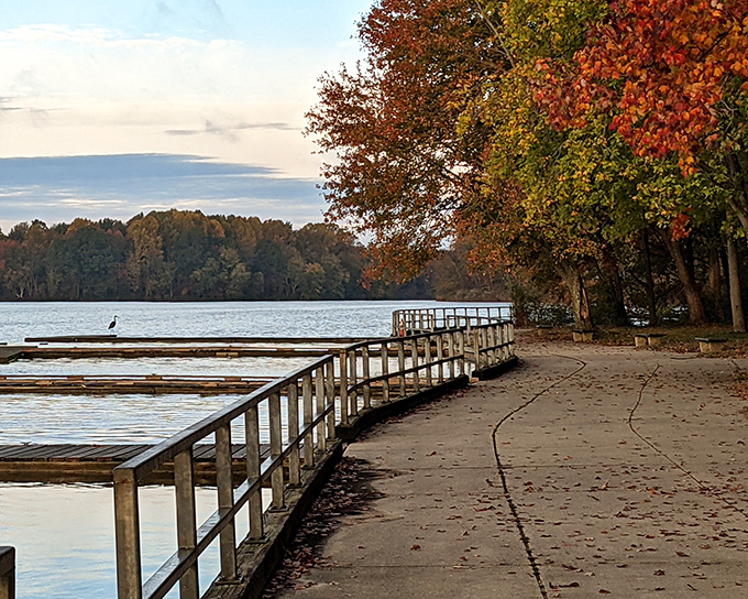 Where water meets walkway—Lums Pond's shoreline path offers front-row seats to Delaware's most spectacular autumn color show.