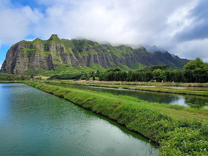Mother Nature showing off her landscaping skills with emerald mountains reflected in tranquil fishponds. Talk about waterfront property goals!