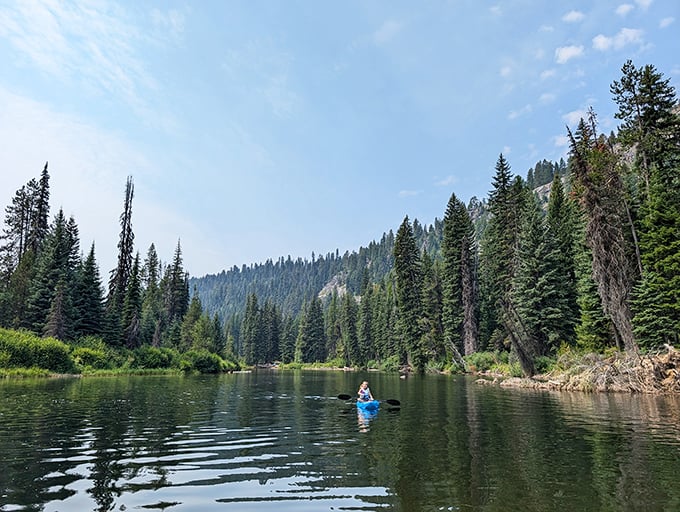 A lone kayaker glides through nature's mirror, surrounded by towering pines that have been perfecting their posture for centuries.