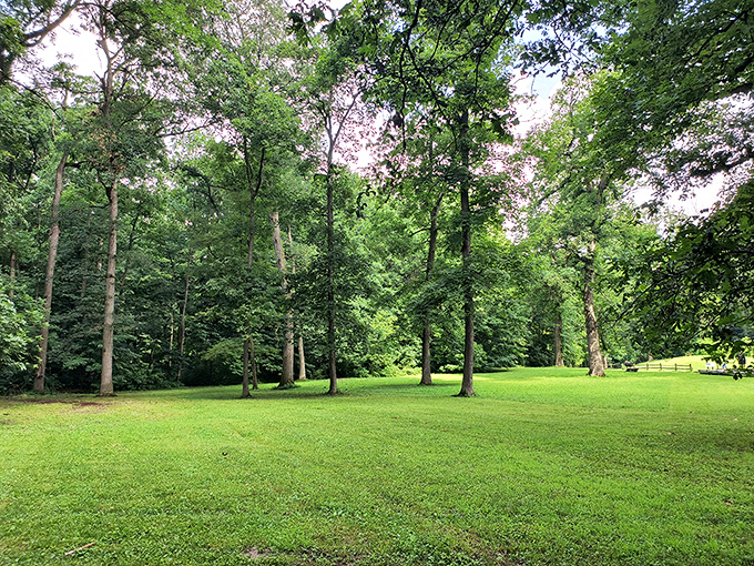 Nature's perfect balance of sun and shade. Towering trees create a cathedral-like canopy over the lush green expanse, inviting you to kick off your shoes and reconnect.