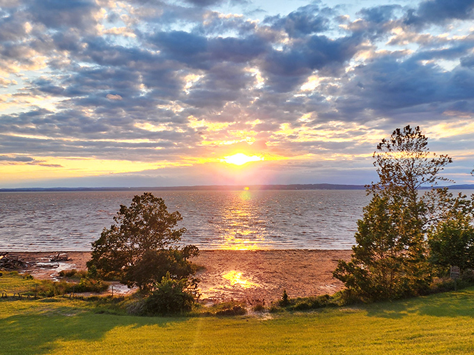 Nature's light show over the Chesapeake Bay. Sunsets at Elk Neck transform the water into liquid gold, making even non-morning people reconsider dawn hikes.