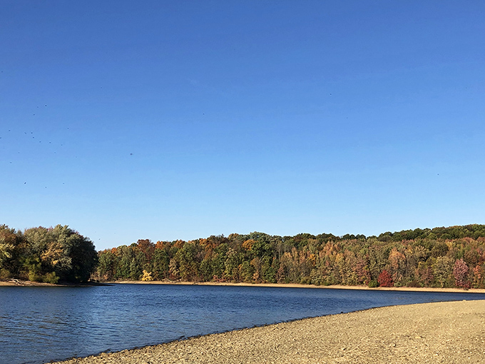 Autumn paints Lake Marburg's shoreline with fiery hues, creating a peaceful retreat where water meets woodland at Codorus State Park.