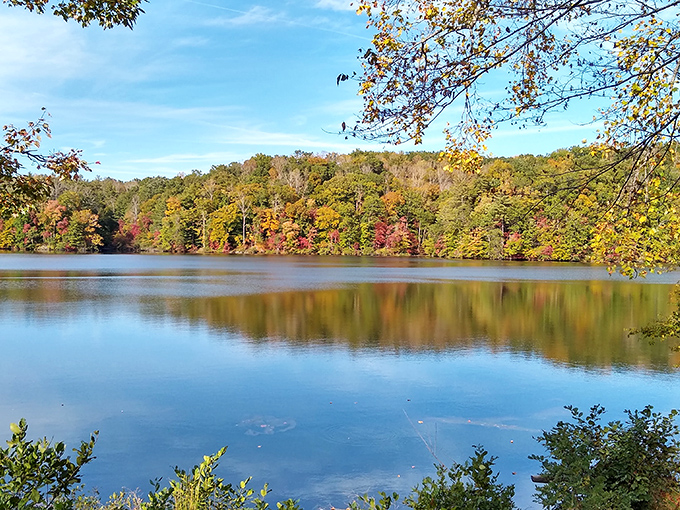 The sandy beach at Fairy Stone Lake offers that perfect "I can't believe this is in Virginia" moment. Crystal clear waters meet golden sand in a scene worthy of a travel magazine cover.