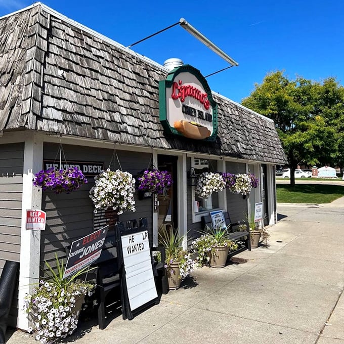 Those hanging flower baskets aren't just for show – they're nature's way of saying "slow down and enjoy a proper coney dog."