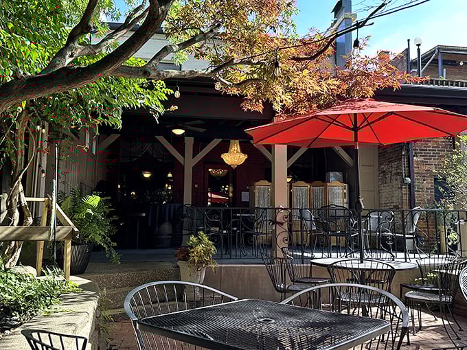 The garden patio at Guarino's feels like stumbling upon a secret Italian courtyard where time slows down and appetites awaken.