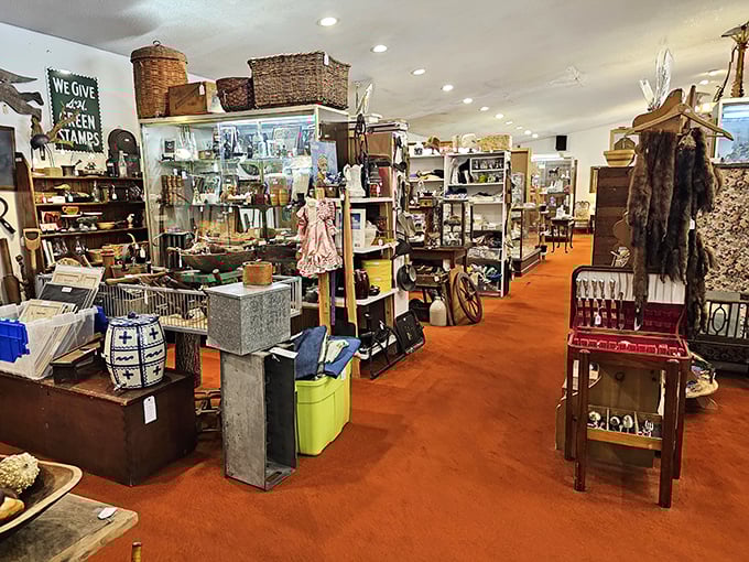 A treasure hunter's paradise awaits! Aisles packed with history and possibility, where every turn reveals something your modern home secretly needs.