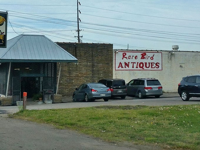 The unassuming exterior of Rare Bird Antiques in Goodlettsville hides a treasure trove within. Like finding a secret passage in your childhood home.
