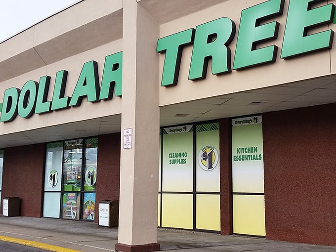 The iconic green signage of Dollar Tree in St. Louis Park beckons bargain hunters like a beacon of budget-friendly bliss on the suburban landscape.