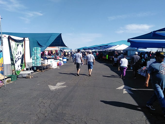 The treasure hunter's paradise stretches before you like an asphalt ocean, with white and blue tents bobbing like sails on a sea of possibilities.