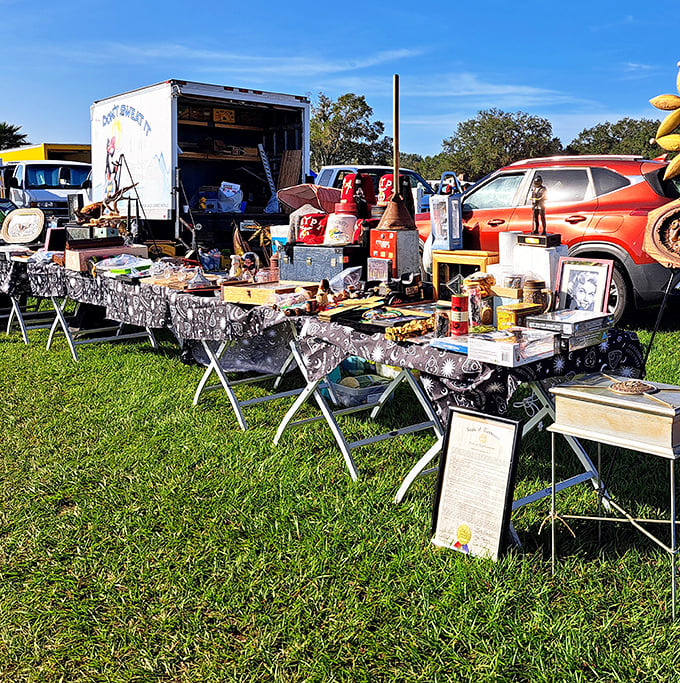 Treasure hunting begins at dawn! Folding tables laden with vintage collectibles, household items, and curiosities await the eagle-eyed bargain seeker under Florida's brilliant blue sky.