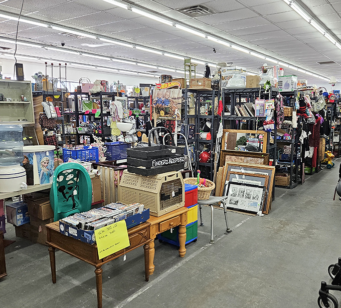 A treasure hunter's paradise where organization meets chaos. Every shelf and table holds potential discoveries waiting for someone to exclaim, "I've been looking for this forever!"
