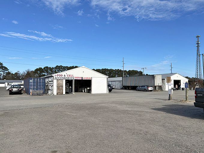 The unassuming exterior hides a treasure trove within. Like finding a secret passage in your favorite childhood book, Hudson's entrance promises adventure.