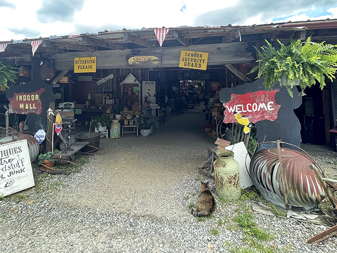 The entrance to treasure-hunting paradise. Rustic wooden beams, hanging ferns, and that hand-painted welcome sign promise adventures that your credit card won't regret.