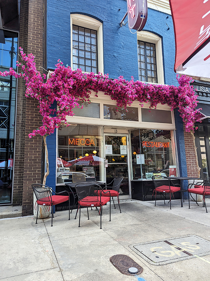 Mecca's striking blue facade and lush pink bougainvillea create a contrast so beautiful it almost makes you forget you came here to eat. Almost.