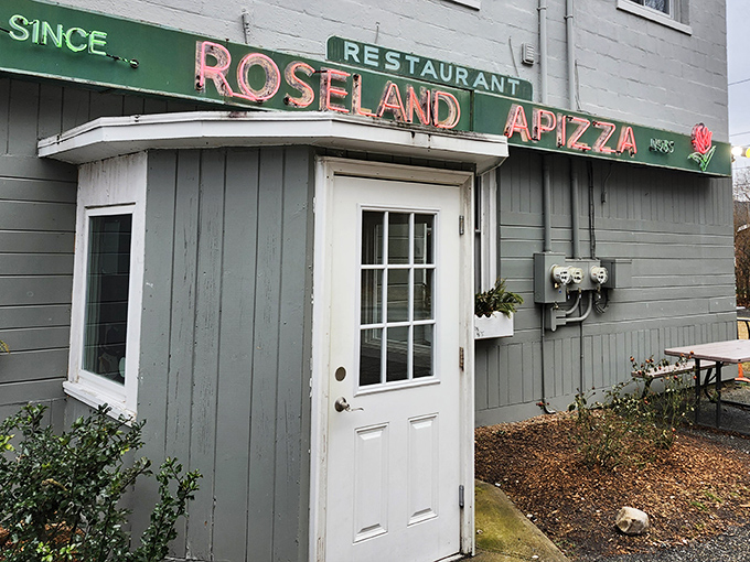 The unassuming gray building with its vintage green sign has been luring pizza pilgrims for generations. Connecticut's best-kept secret hides in plain sight.