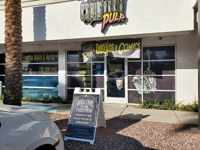 The unassuming storefront of Cemetery Pulp beckons the curious with its bold signage and promises of oddities that would make Wednesday Addams feel right at home.