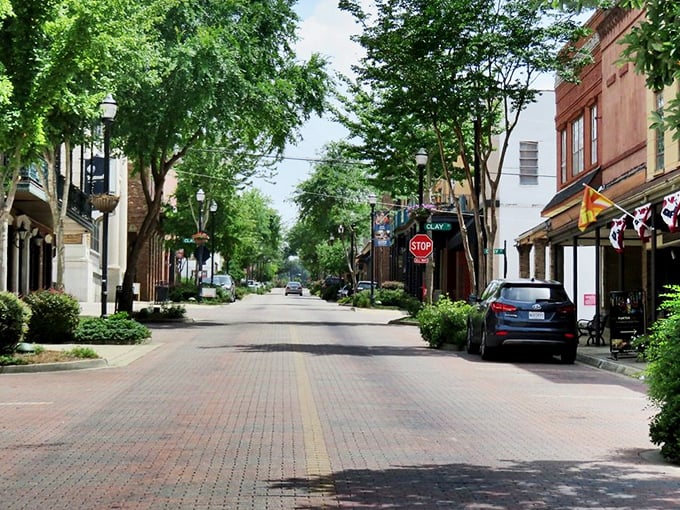 Tree-lined streets and historic brick buildings create a downtown so charming it belongs on a postcard.