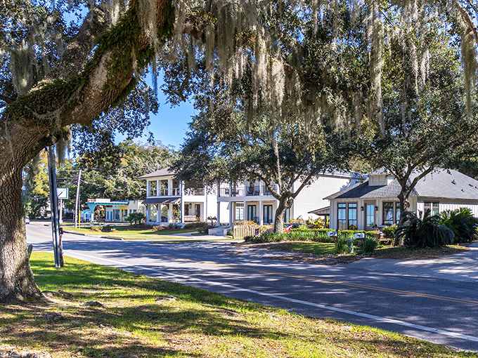 Spanish moss drapes over oak-lined streets like nature's own welcome banner, creating the perfect backdrop for Fairhope's charming homes and dappled sunlight.