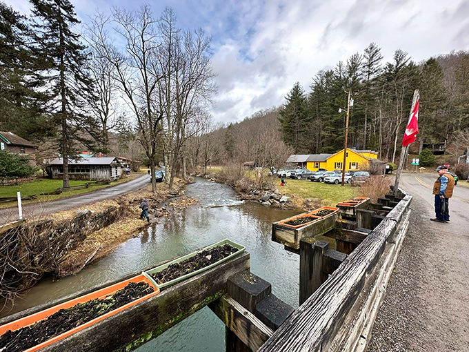 A gentle stream winds through Helvetia's village center, with the distinctive yellow building and Swiss flag reflecting the community's European heritage.