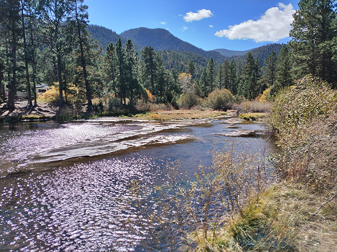 The Cimarron River dances through the canyon, catching sunlight like nature's own disco ball while mountains stand guard in the background.