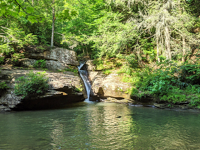 Nature's perfect swimming hole awaits at Holly River State Park, where sunlight dances on emerald waters beneath a gentle cascade.