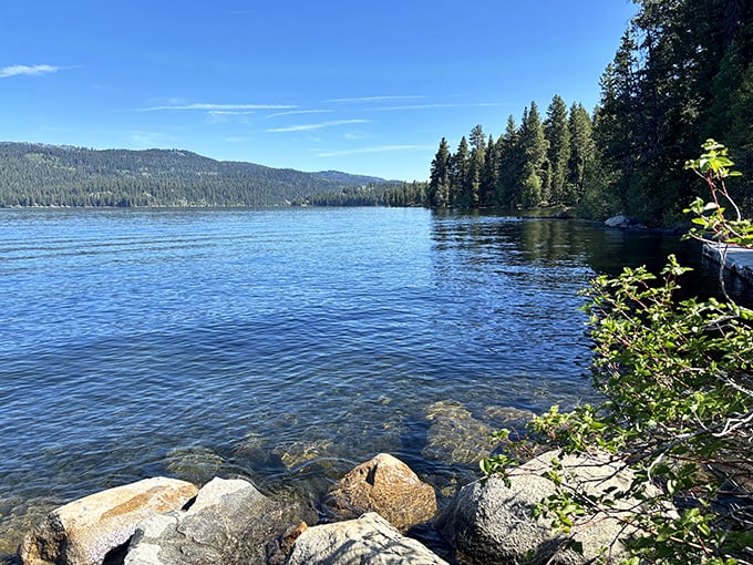 Where Payette Lake meets forest edge &ndash; Mother Nature's version of oceanfront property, minus the salt and seagulls.