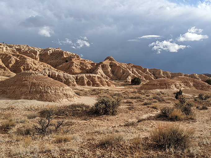 Nature's own sculpture garden stretches to the horizon under Nevada's impossibly blue sky. Mother Nature clearly went to art school.