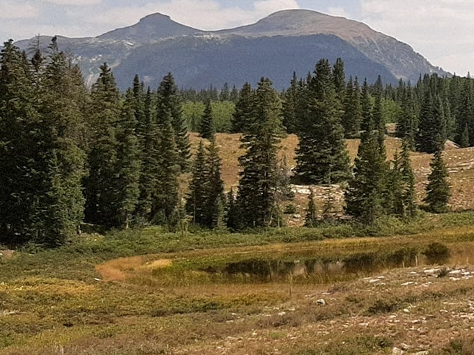 Where mountains meet sky: Cimarron Canyon's majestic peaks stand like ancient guardians watching over a landscape that makes your everyday worries seem delightfully insignificant.
