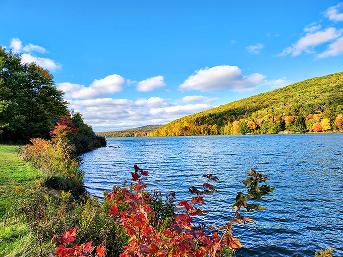 Fall's masterpiece on full display at Allegany State Park, where nature paints the hillsides in fiery hues that reflect perfectly on the serene lake waters.
