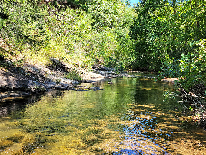 Crystal-clear waters invite you to dip your toes in Jacob Fork River, where the only thing more refreshing than the water is the absence of email notifications.