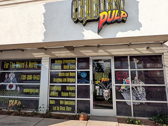 Window displays proudly advertise the store's eclectic inventory: "Skeletal Articulations," "Taxidermy," "Skulls and Bones," and other macabre treasures.