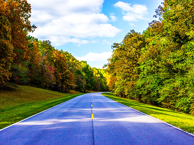 Nature's perfect runway stretches before you on the Natchez Trace Parkway, where fall foliage creates a golden tunnel through Mississippi's heartland.